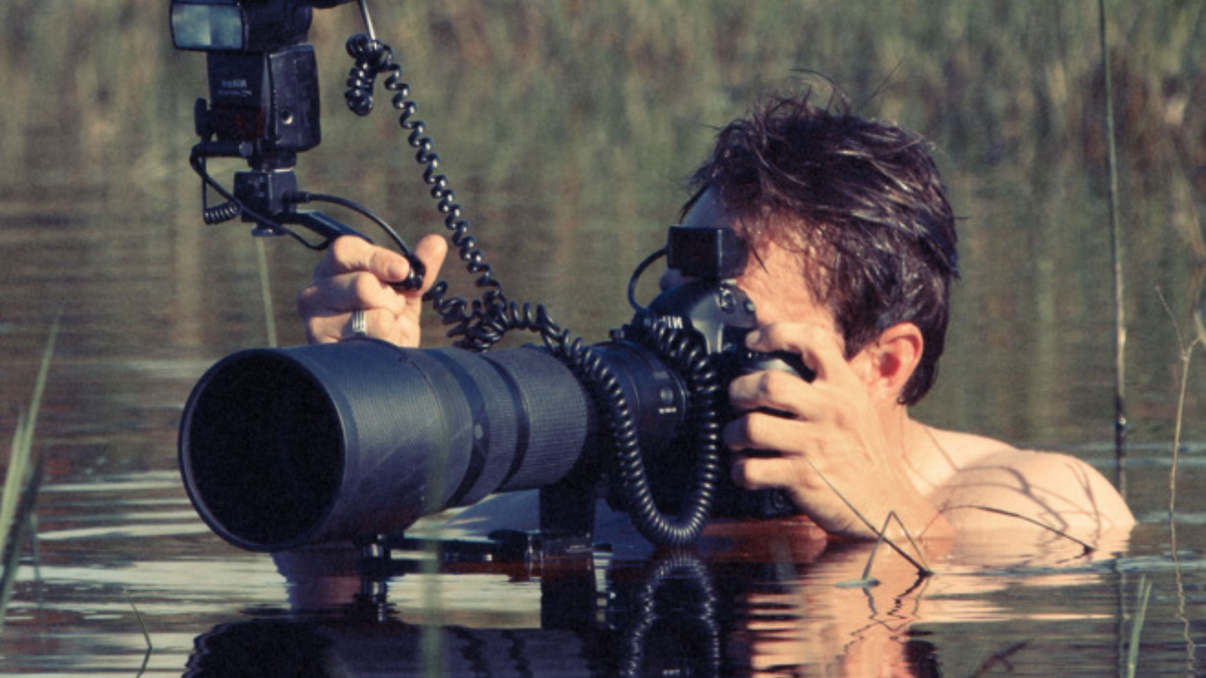 Greg du Toit | Award winning Wildlife Photographer – Art Photography ...