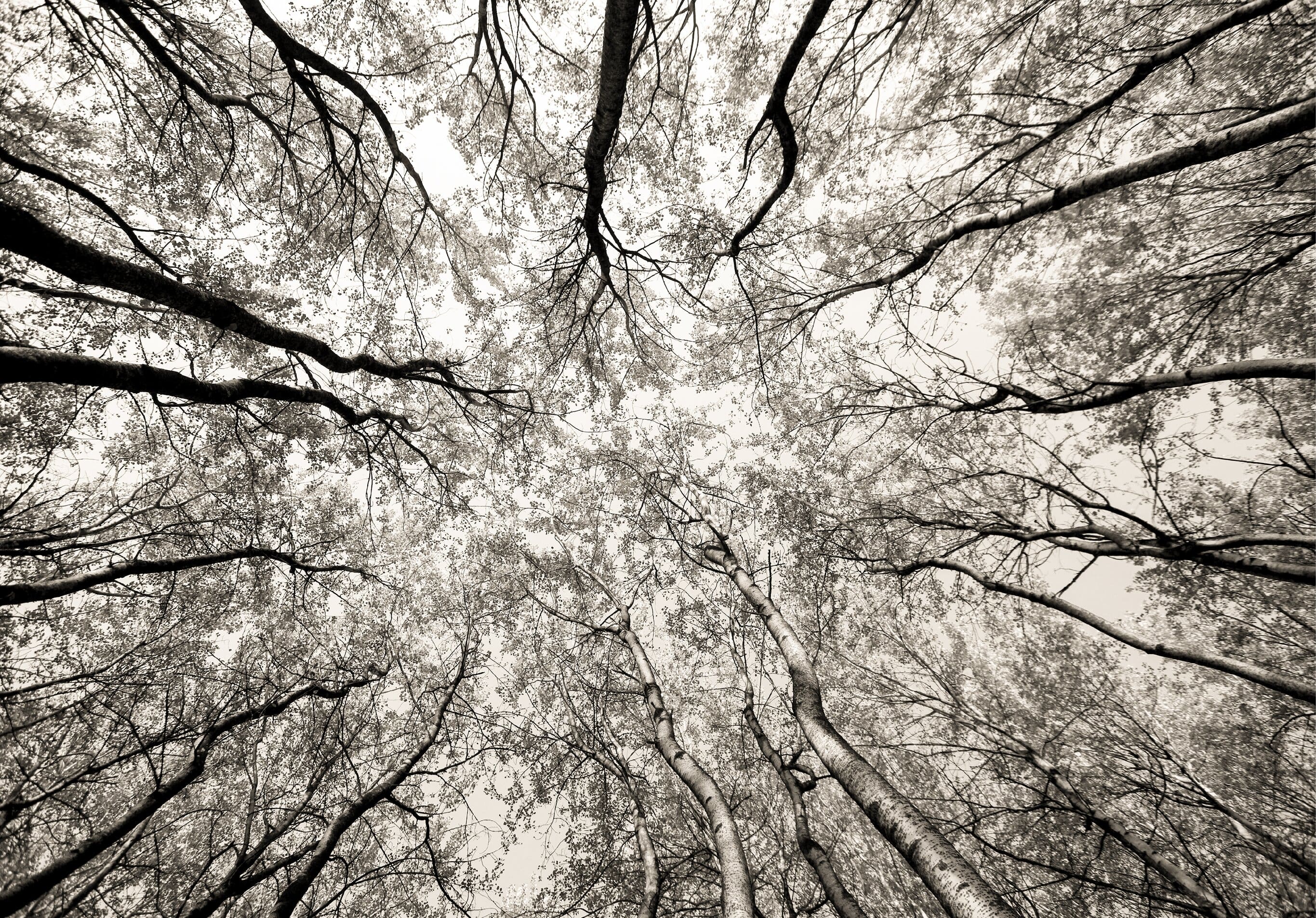 Austere Pattern No.1 | Fine Art Landscape Photography – Osner Art Gallery