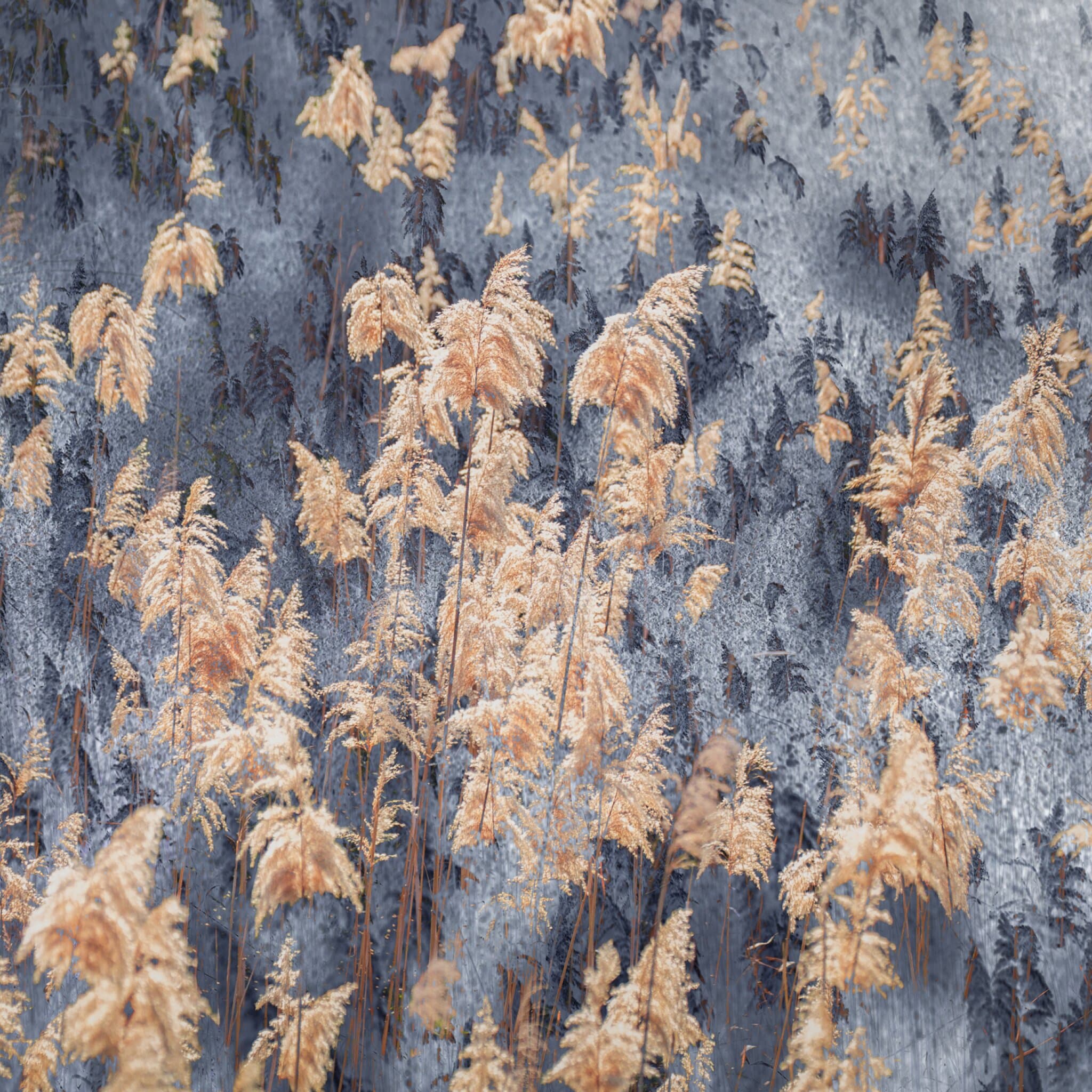 Pastures of Splendour No.1 | Breathtaking Photographic Art Print ...