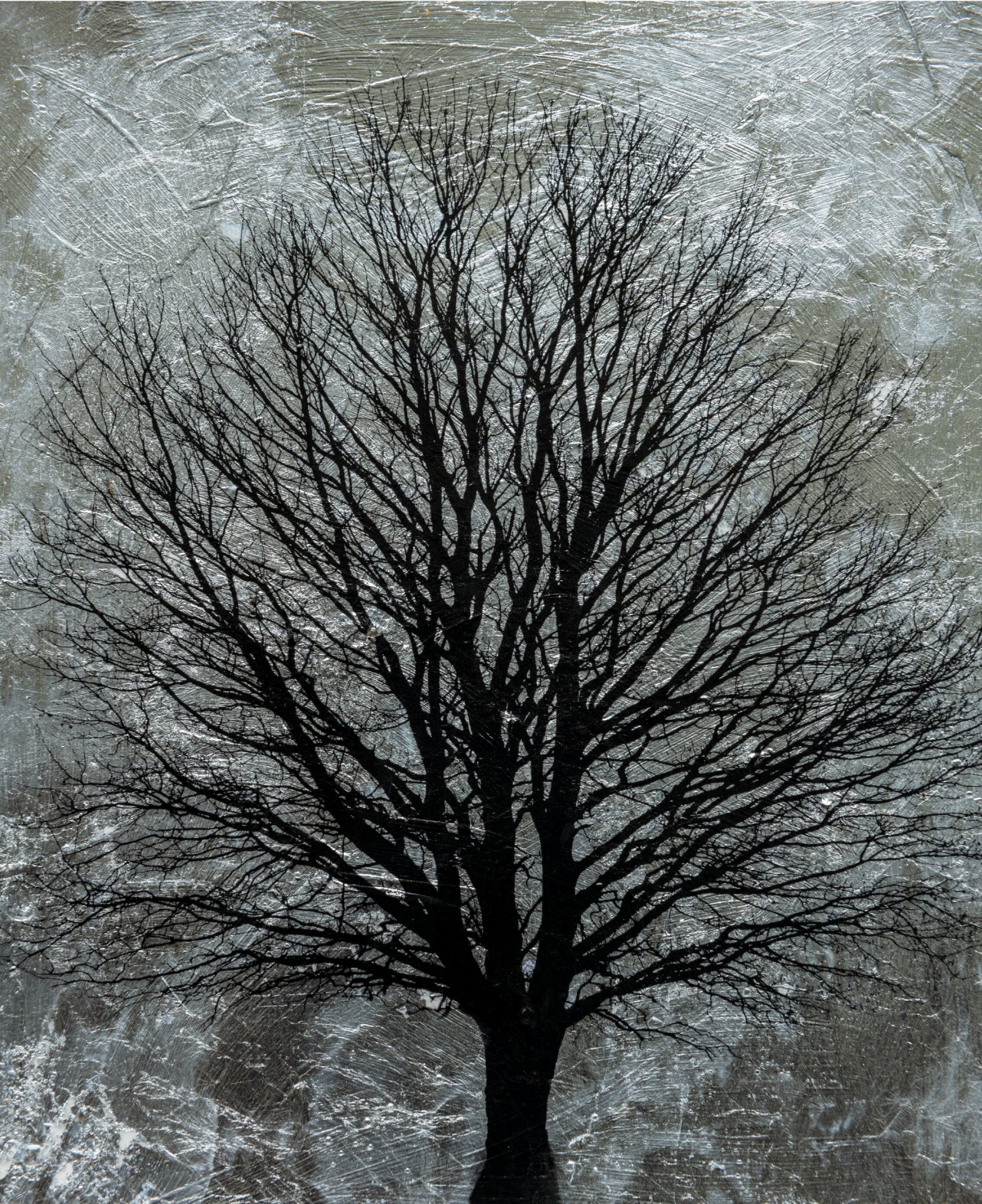 Wisdom | Rob Heffer | Fine art nature photography – Osner Art Gallery