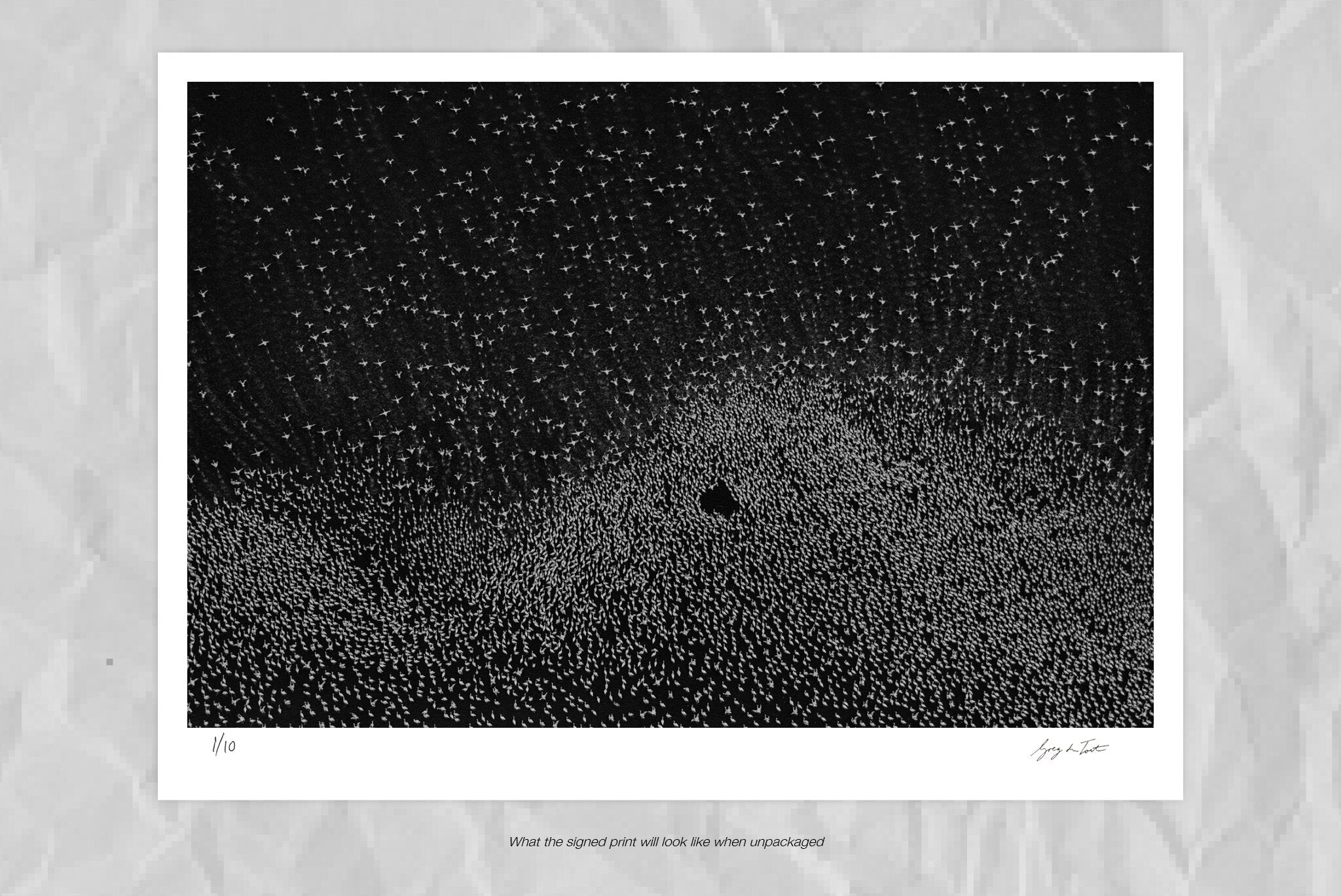 Flamingos Rising | Wildlife Art Photography | Greg du Toit – Art ...