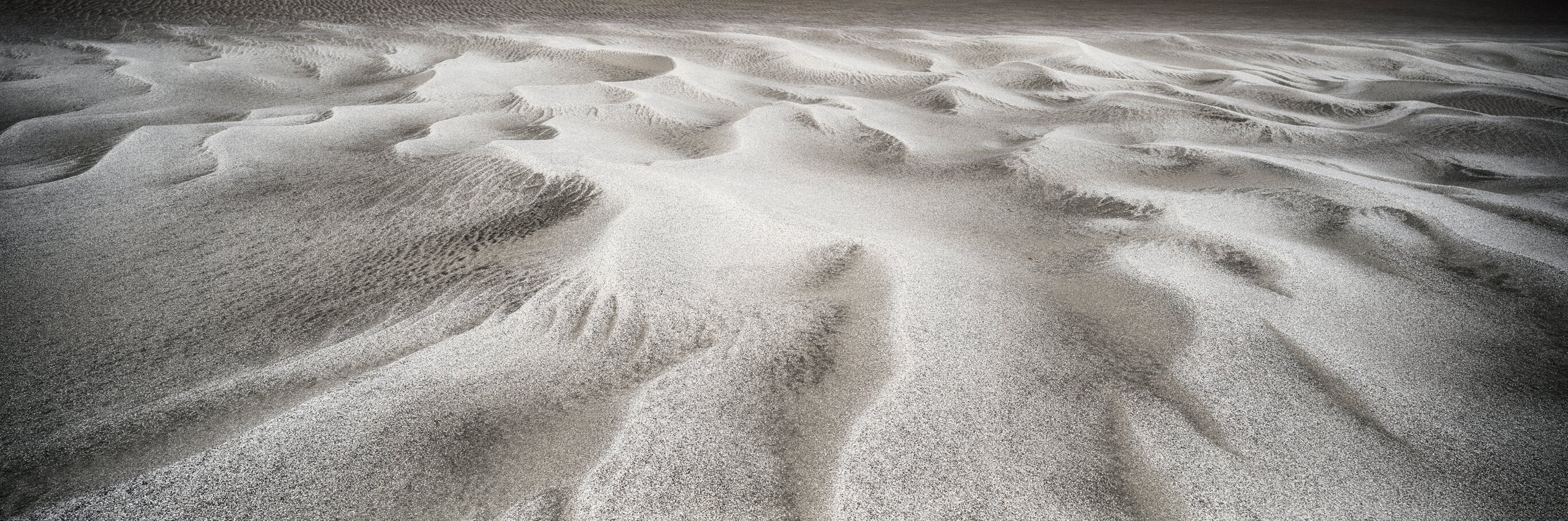 Revealing 'Sand Skeleton' - Koos van der Lende's Captivating Artwork of ...