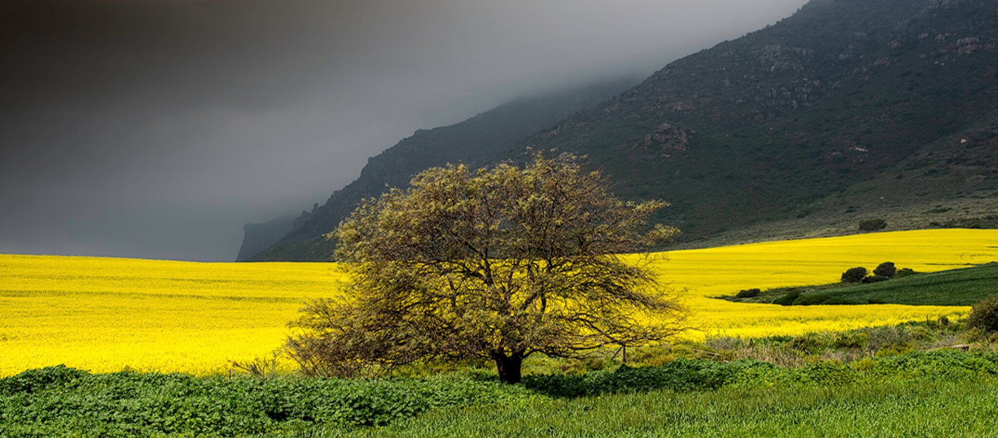 Garden of Colour | Landscape Fine Art Photography – Osner Art Gallery