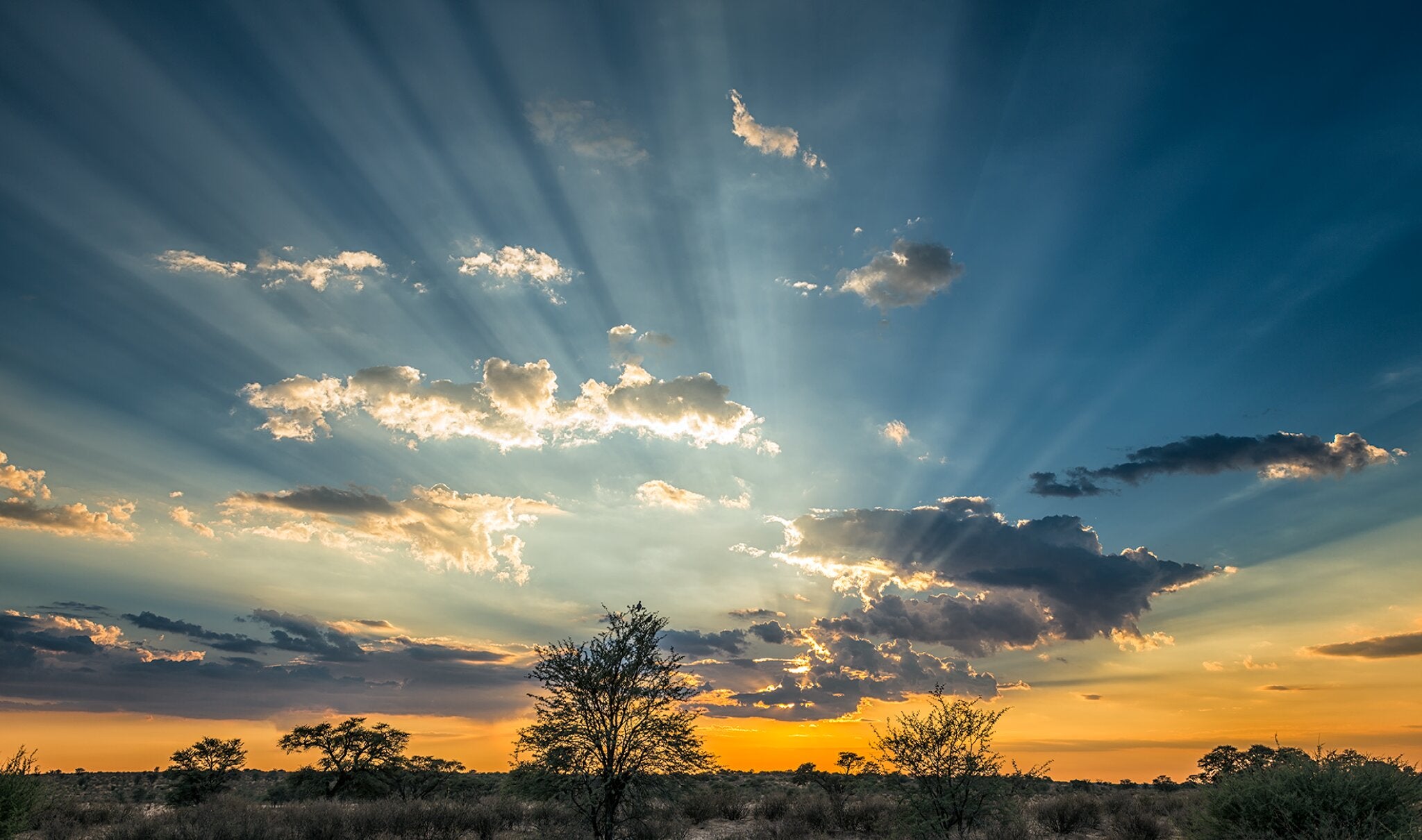 The Lion Roars | Landscape fine art photography – Osner Art Gallery